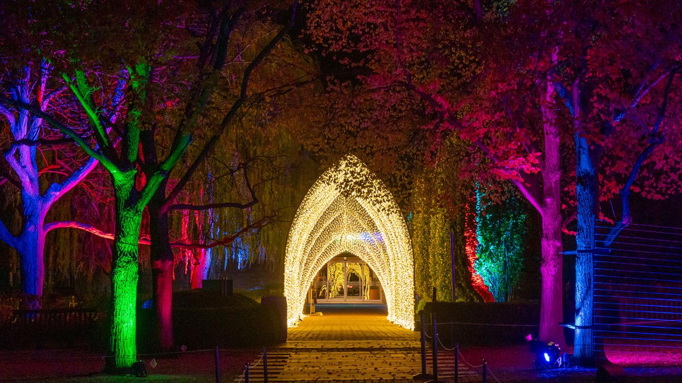 Make Sparkling Memories This Holiday Season at Lightscape | Chicago Botanic Garden